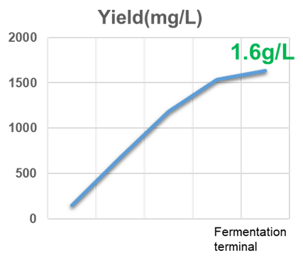GenCircle™ dsDNA: The Future of Efficient and Safe Gene Therapy | GenScript