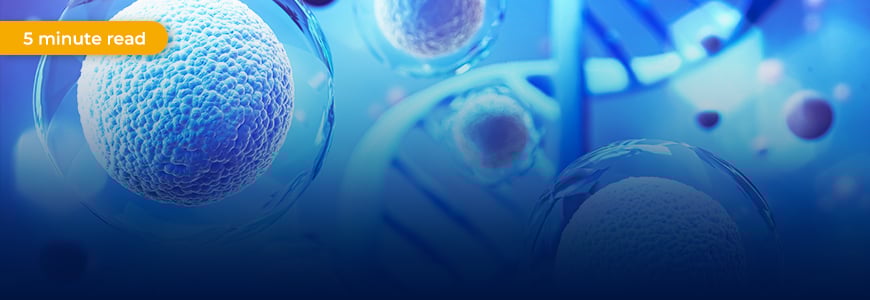 GenCircle™ dsDNA: The Future of Efficient and Safe Gene Therapy | GenScript