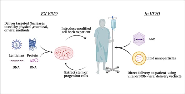 Gene Therapy: A Revolution in Medicine