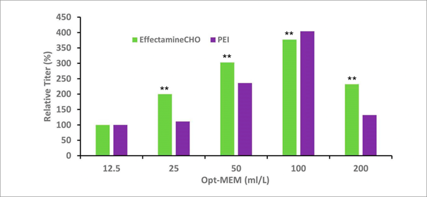 How to Optimize Transient Gene Expression in CHO Cells for Recombinant Antibody