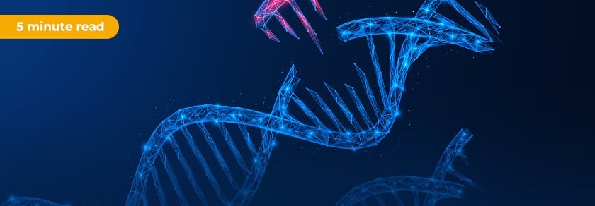 Improving sgRNA Purity through Advanced Purification Techniques | GenScript