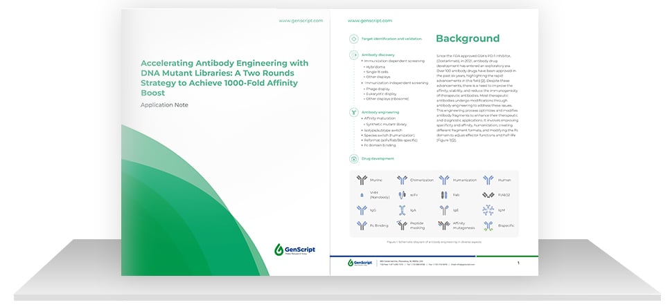 Accelerating Antibody Engineering with DNA Mutant Libraries: A Two ...