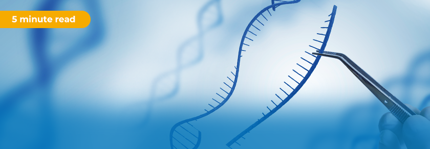 Revolutionizing Genome Editing: Integrating Large Genes with Precision