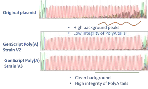 The power of genetically engineered strains | GenScript Scientific Insight