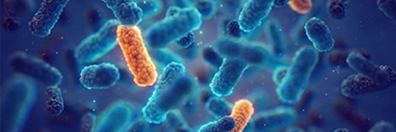 Weekly Insights on Gene Therapy Innovation | GenScript