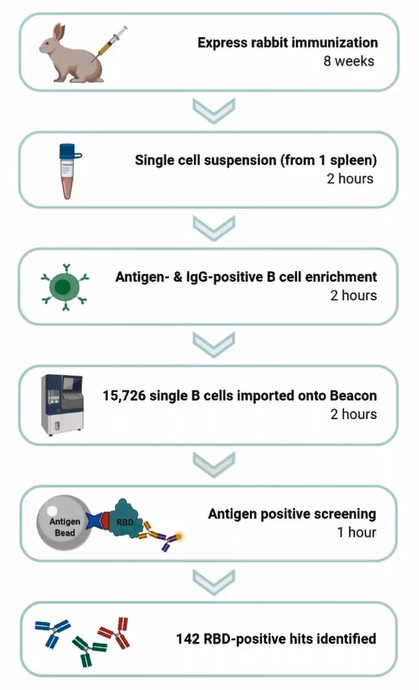 GenScript at MERCK2020 Symposium | GenScript