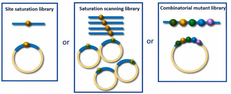 GenScript at MERCK2020 Symposium | GenScript