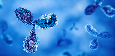 AI-based Antibody Therapeutics Developability Assessment and Its ...