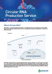 Optimizing RNA manufacturing for rapid RNA therapeutics development