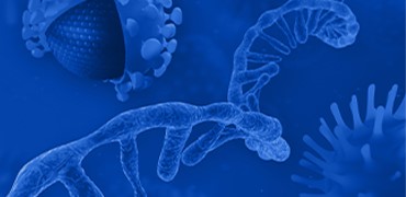 Circular RNA Synthesis and Lipid Nanoparticle Delivery: A Comprehensive ...