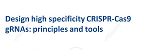 Designing high specificity CRISPR gRNA