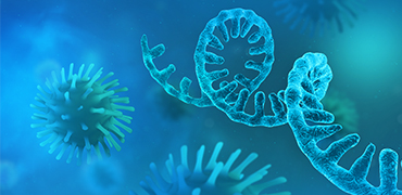 Optimizing RNA manufacturing for rapid RNA therapeutics development