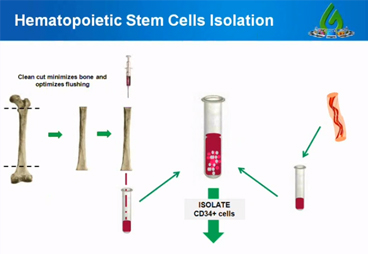 Webinars - Stem Cell