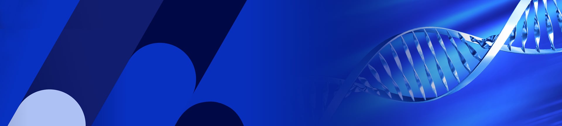 GenEZ™ ORF cDNA Clone Vectors | GenScript