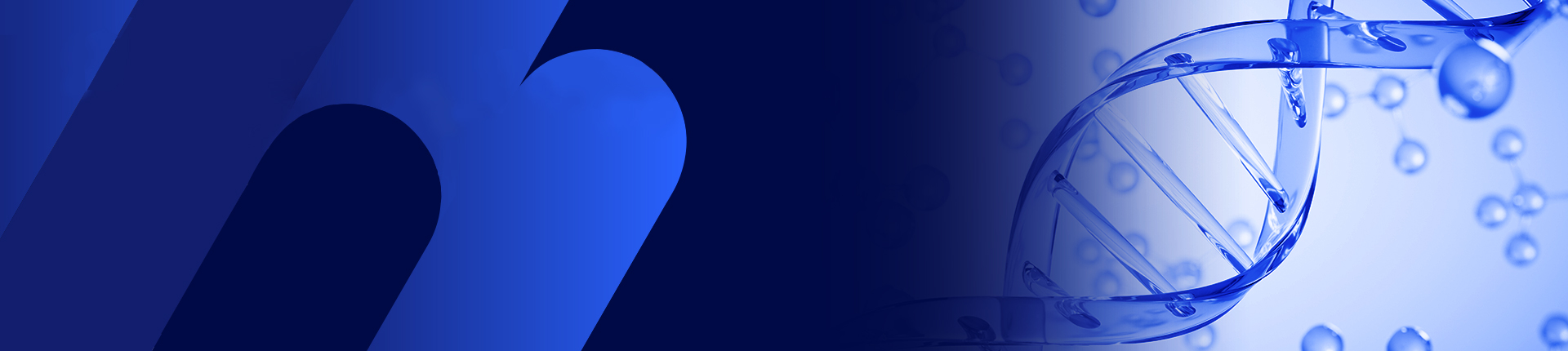 AAV ITR Guarantee Technology | GenScript