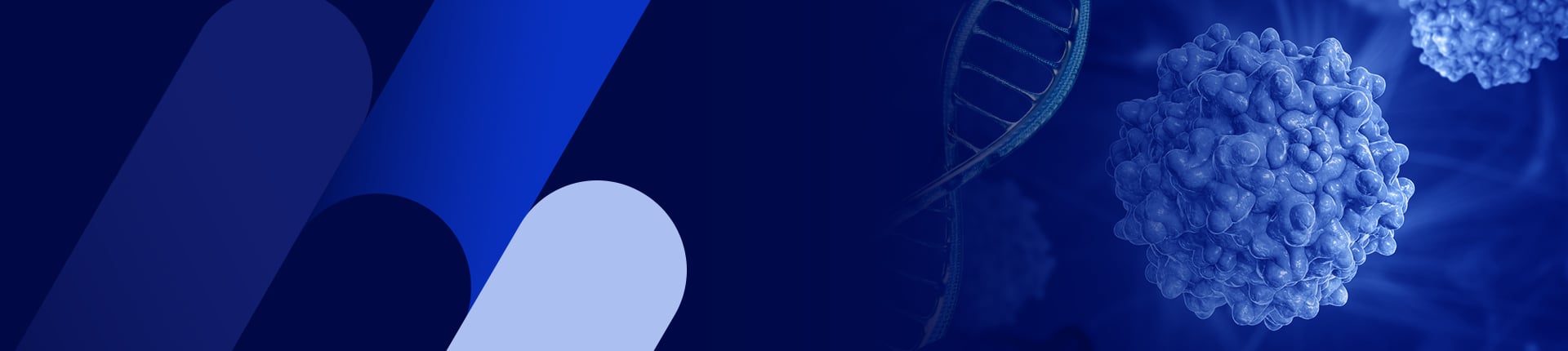 AAV Plasmid Solutions | GenScript