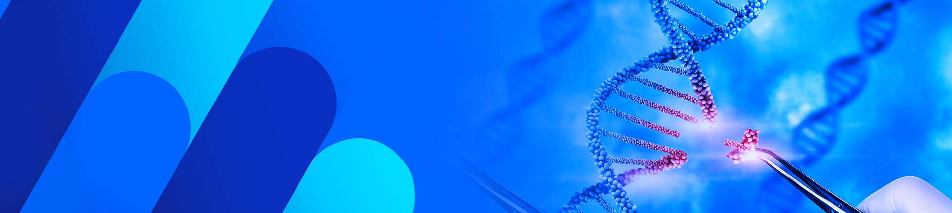 Next-Generation Base & Prime Editors | Off-the-Shelf Gene Editing ...