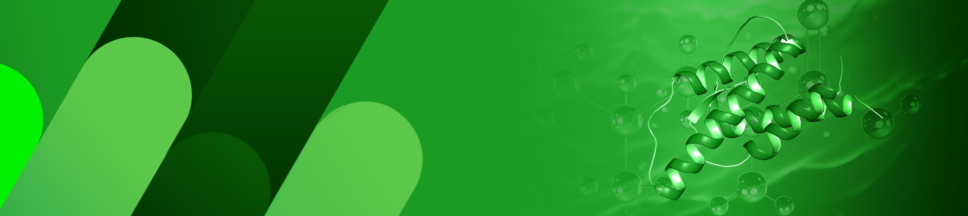 Cyclic Peptide Synthesis Service