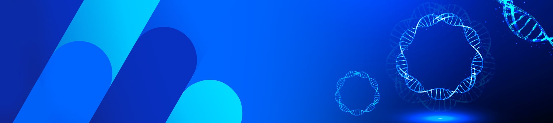 GenCircle™ Double-Stranded DNA | GenScript