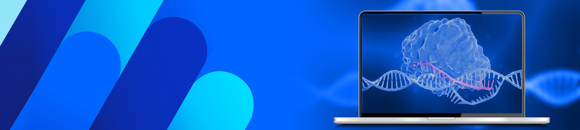 GenCRISPR Guide RNA Design Tool