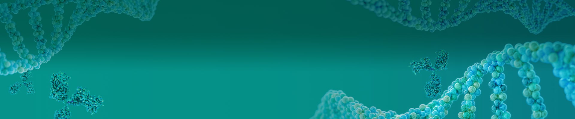 Types of Recombinant Antibodies: Overview & Plasmid Designs| GenScript ...