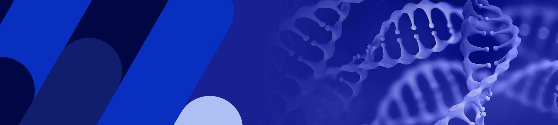 High Throughput DNA Library Assembly | GenScript