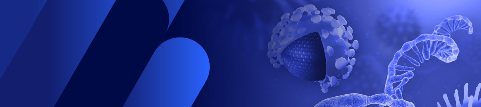 IVT (In vitro Transcription) mRNA Production
