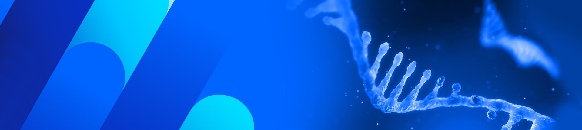 Custom DNA Oligo Synthesis Services