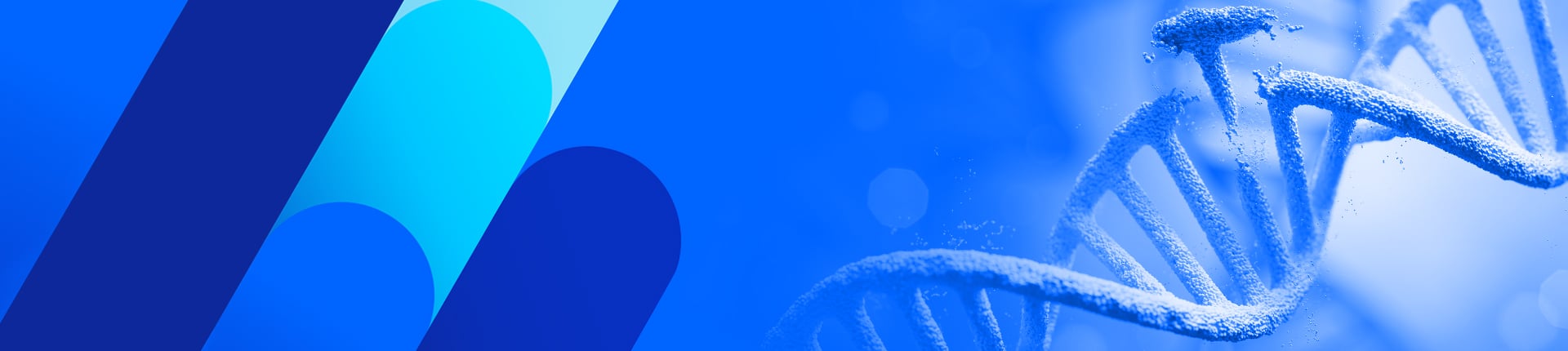 pegRNA（Prime Editing guide RNA）Synthesis Service