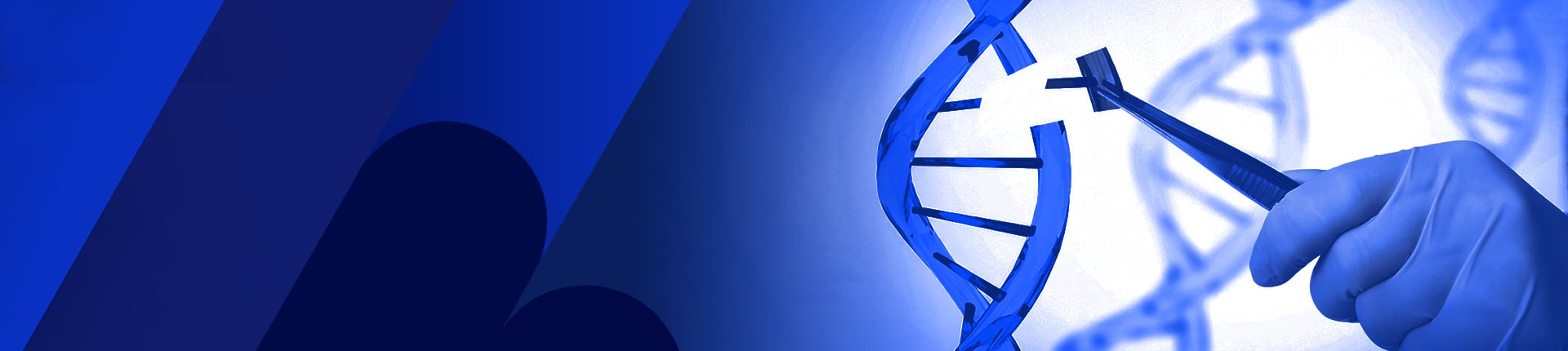 High-Precision DNA Mutant Library Services | GenScript