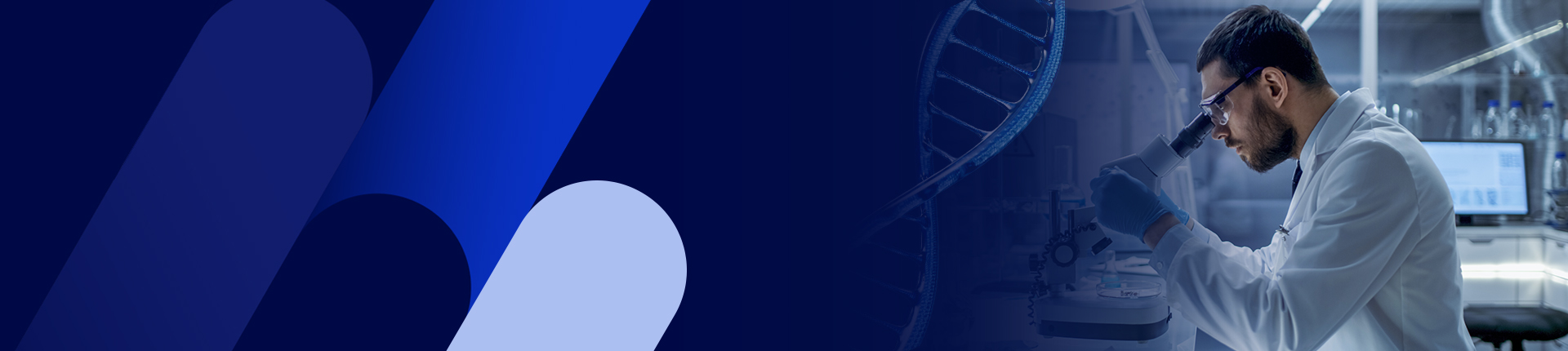 Preclinical Grade Plasmids for Preclinical in Vivo Animal Studies ...