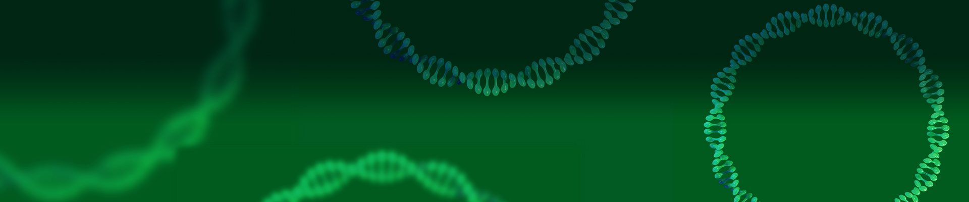 mRNA Applied Vector | GenScript