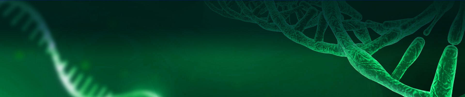 Plasmid Linearization Service | GenScript