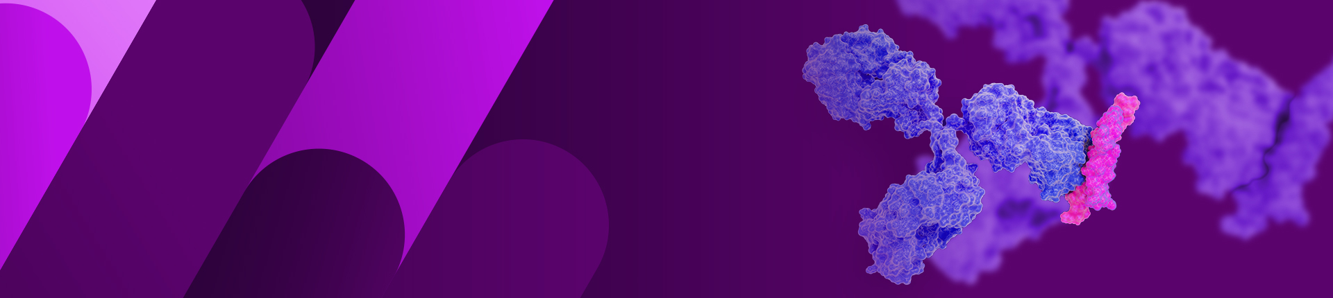 TurboCHO™ Stable Cell Pool & Cell Line | GenScript