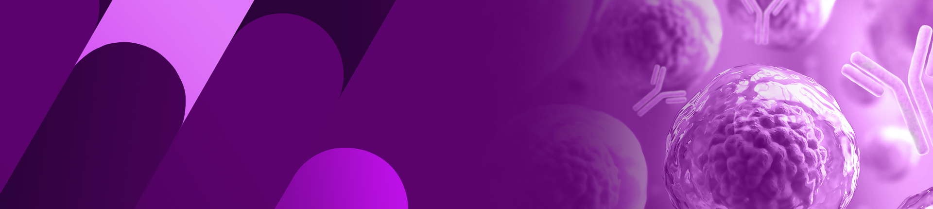 TurboCHO™ Stable Cell Pool & Cell Line | GenScript