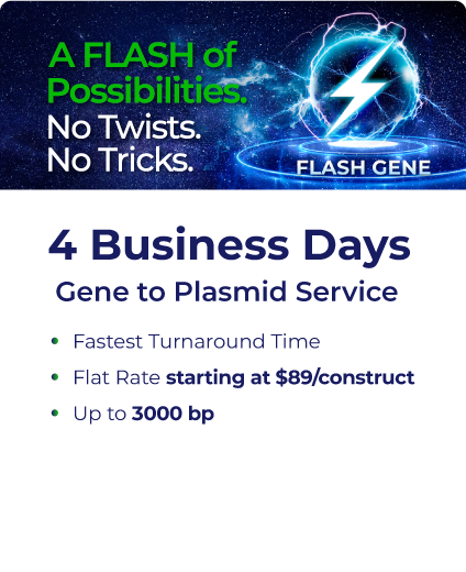 GenScript - Make Research Easy - The leader in molecular cloning and gene synthesis, peptide ...
