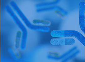 Antibody Discovery & Recombinant Protein Expression | GenScript