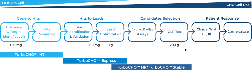 Antibody Discovery & Recombinant Protein Expression | GenScript