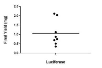 Cell-Free Expression Kit