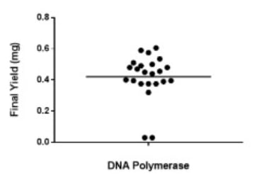 Cell-Free Expression Kit