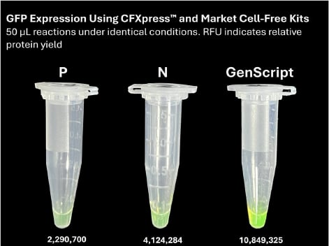 Cell-Free Expression Kit