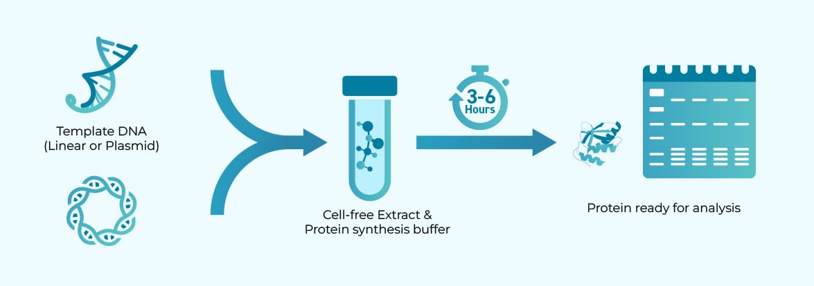 Cell-Free Expression Kit