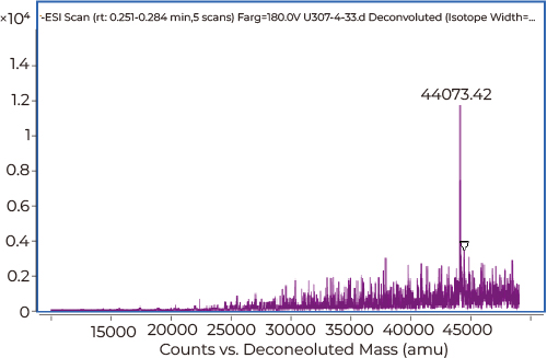 Custom RNA Oligos, Antisense Oligonucleotides-GenScript
