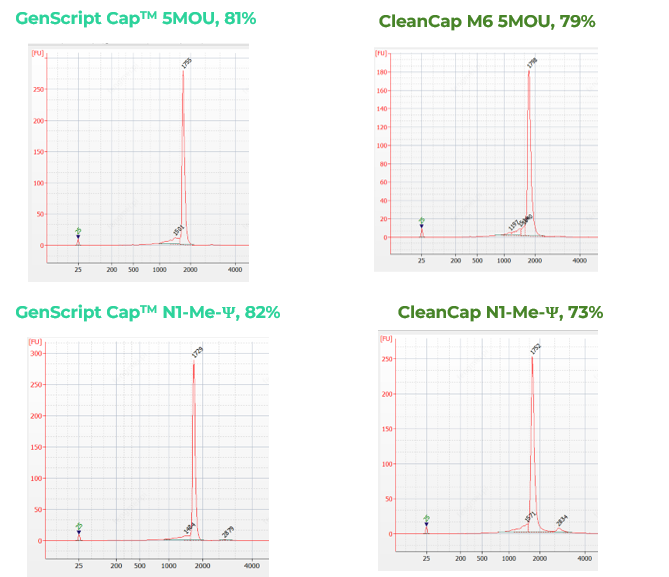GenScript Capping Technology: Advanced mRNA Synthesis and RNA ...