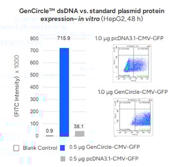 GenCircle™ Double-Stranded DNA | GenScript