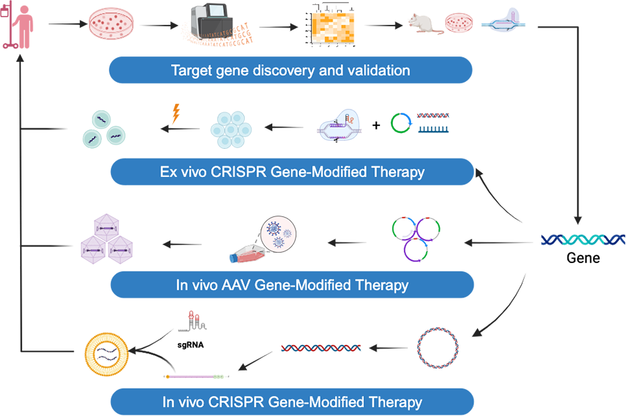 Gene-Modified Therapy Solutions