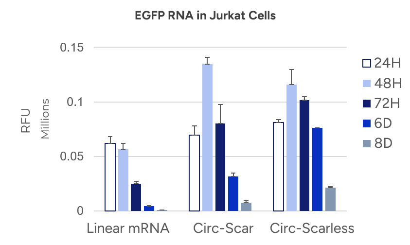 Custom Circular RNA Synthesis | GenScript