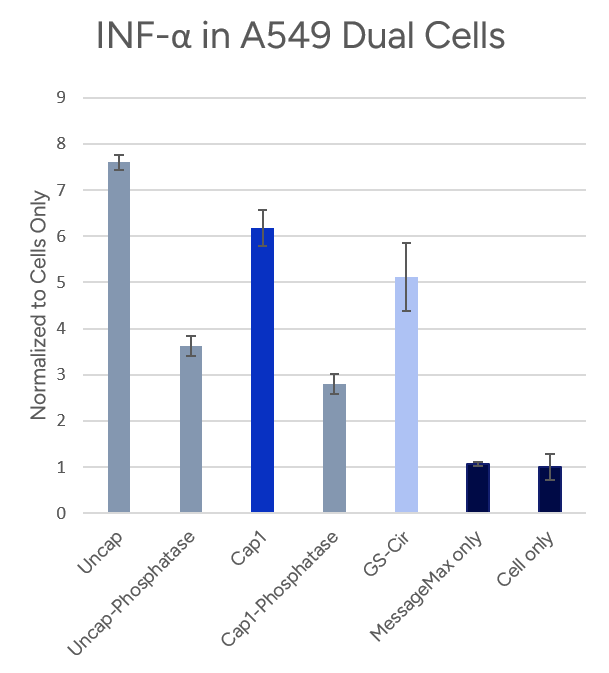 Custom Circular RNA Synthesis | GenScript