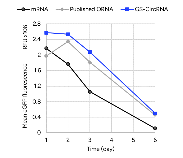 Custom Circular RNA Synthesis | GenScript