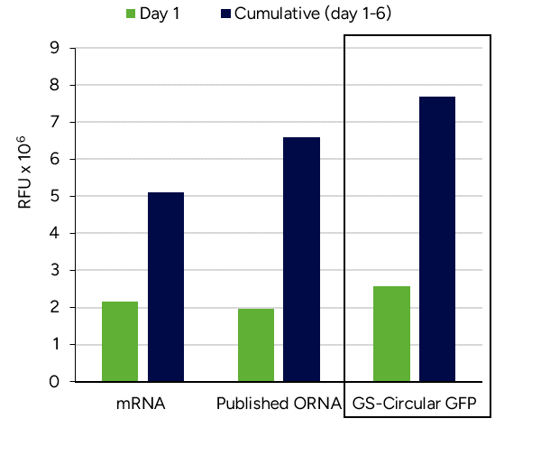 Custom Circular RNA Synthesis | GenScript